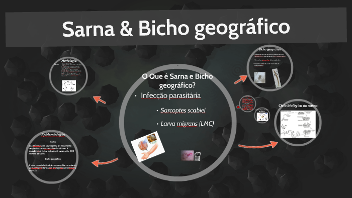 Sarna & Bicho geográfico by Daniel costa de souza on Prezi