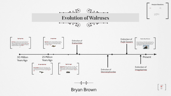 Evolution of Walruses by Bryan Brown on Prezi