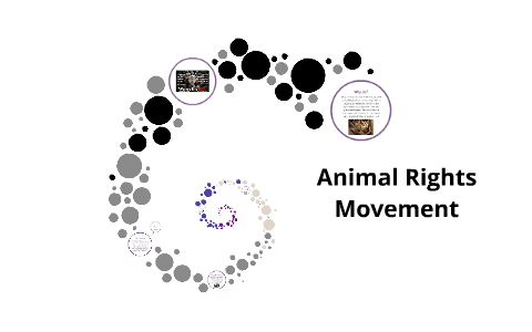 Animal Rights Movement by Kate Dungey on Prezi