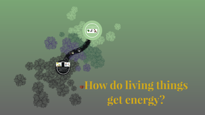 How do living things get energy? by Georgie Brown on Prezi