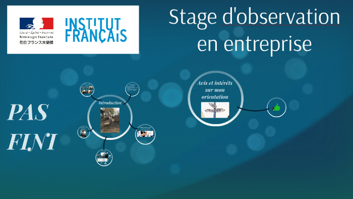 Stage d'observation en entreprise by antje vandenbrouck on Prezi