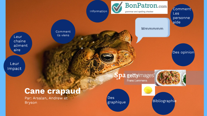 Cane Toad by Arsalan V on Prezi