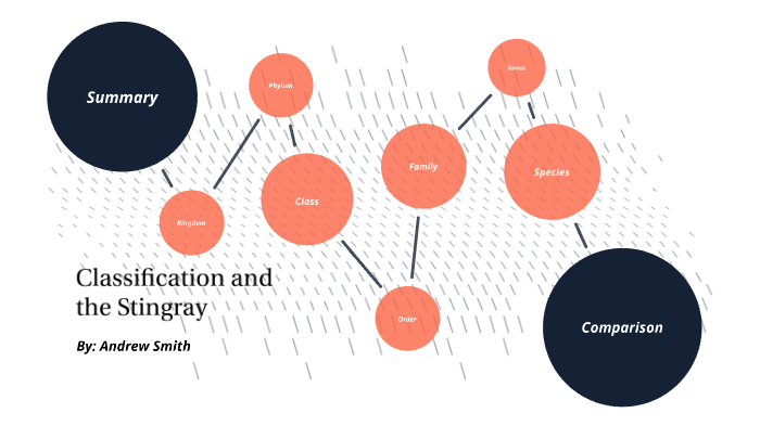 Classification and the Stingray by Andrew Smith on Prezi