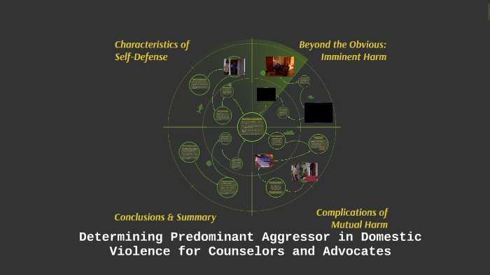 Determining Predominant Aggressor in Domestic Violence by Christopher ...