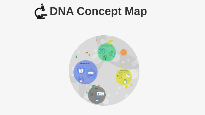DNA Concept Map by Connor Pritzel on Prezi