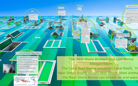 The Near Shore Biome/Coral reef Biome by Morgan Niven on Prezi