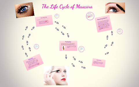 The life cycle of mascara by Emily Peterson on Prezi