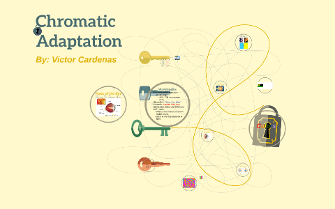 Chromatic Adaptation by Victor Cardenas on Prezi