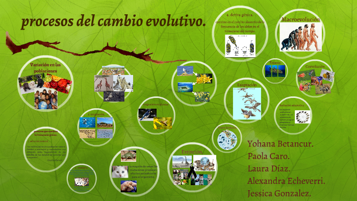 procesos del cambio evolutivo. by Suarez Diaz on Prezi