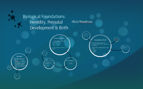 Biological Foundations: by Alicia Woodrum