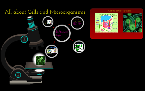 All about Cells and Microorganisms by on Prezi