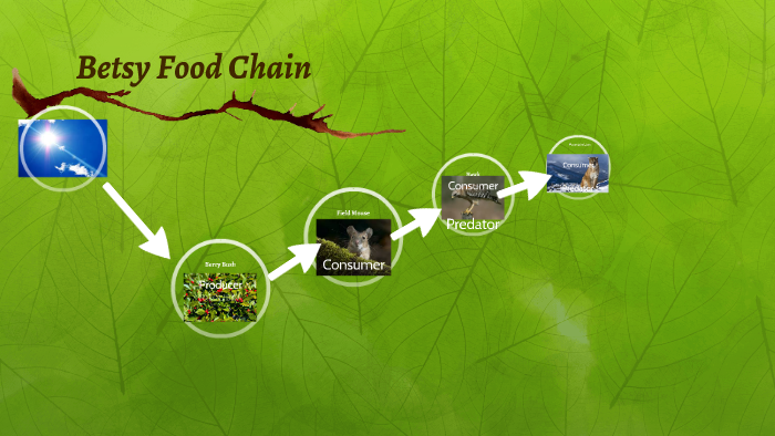 Betsy Food Chain by Mrs. D. on Prezi