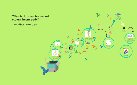 What is the most important system in our body? by on Prezi