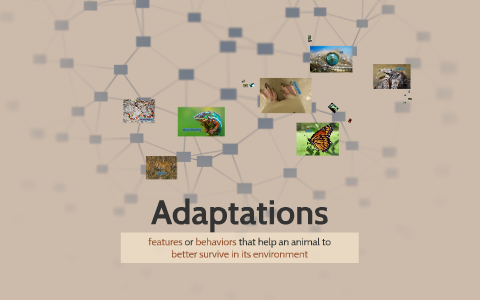 Adaptations by Kurt Griggs Swanson on Prezi