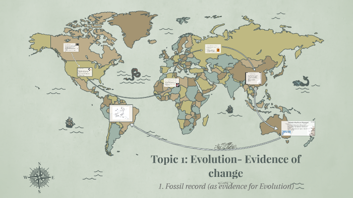 Topic 1: Evolution-Evidence of Change Fossil records (as evidence for evolution) by Amanda Kerr ...