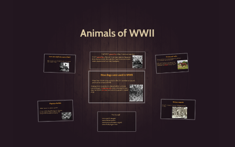 Animals of WWII by Austin Weaver