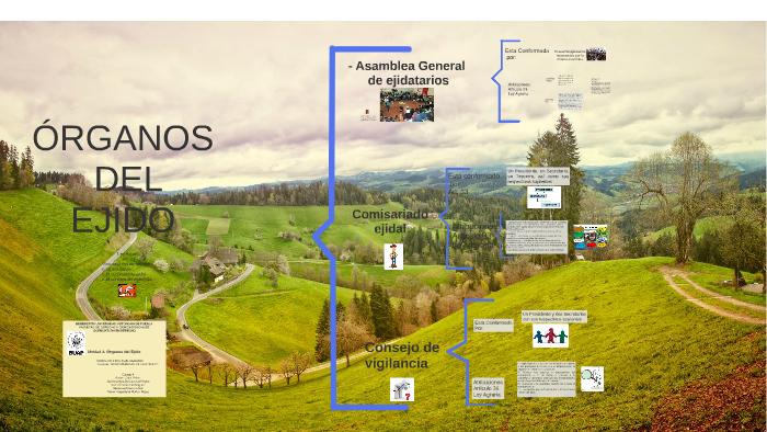 ÓRGANOS DEL EJIDO by on Prezi