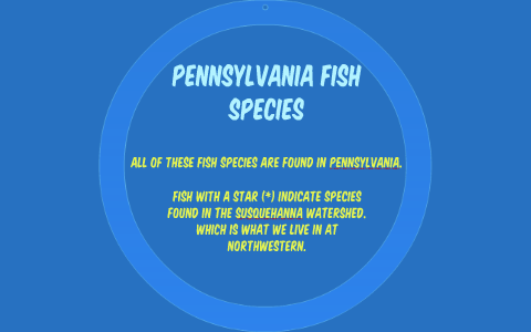 Pennsylvania Fish Species by Luther Haupt on Prezi
