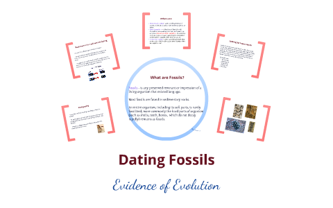 Dating Fossils: Evidence of Evolution by Nadz I. on Prezi