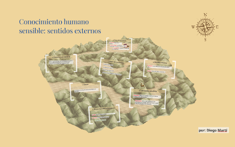 Conocimiento humano sensible: sentidos externos by diego martí on Prezi