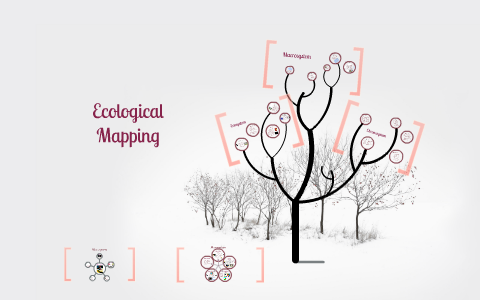 Ecological Mapping by Leticia Perez