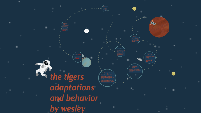 the tigers adaptations and behavior by Miss Herbert on Prezi