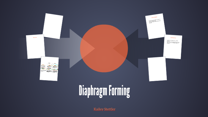 Diaphragm Forming Process by Kailey Stettler on Prezi