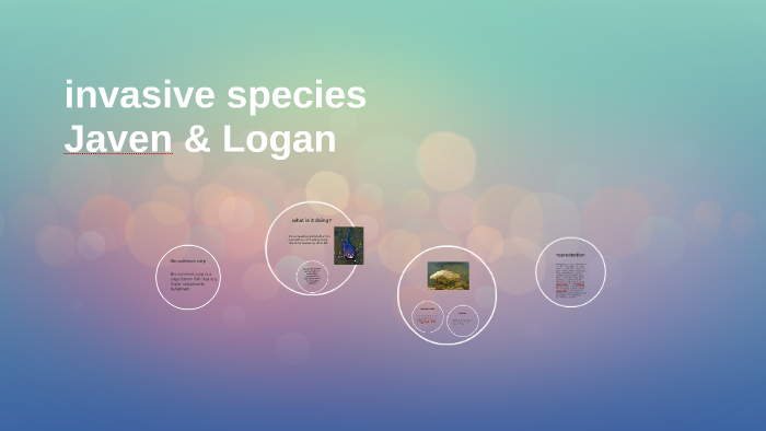 invasive species by logan richey on Prezi