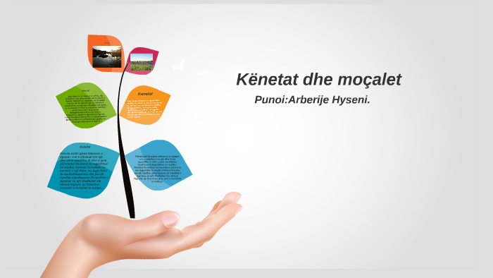 Kënetat dhe Moçalet. by Arberie H. on Prezi