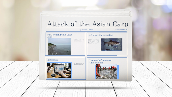 Ecology Unit Summative Project by Alyssa Horton on Prezi