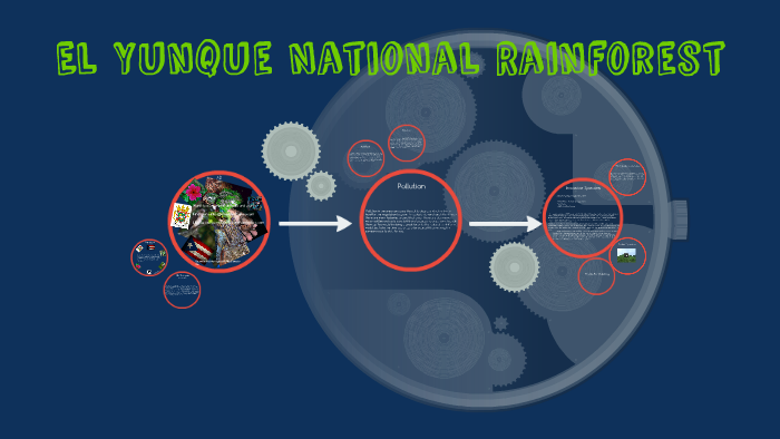 El Yunque Project by Silna Vimia on Prezi