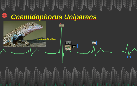 Leaping Lesbian Lizards by logan ferrell on Prezi
