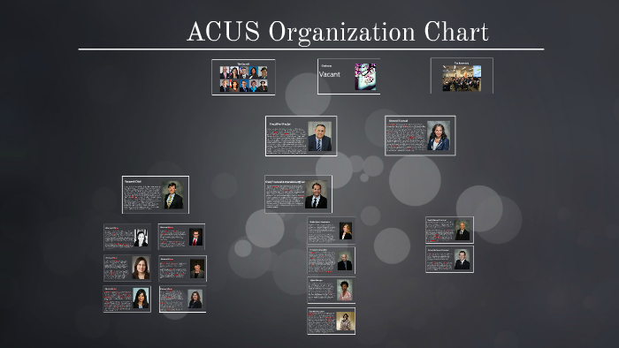 ACUS Organization Chart by Talia Hutchison on Prezi