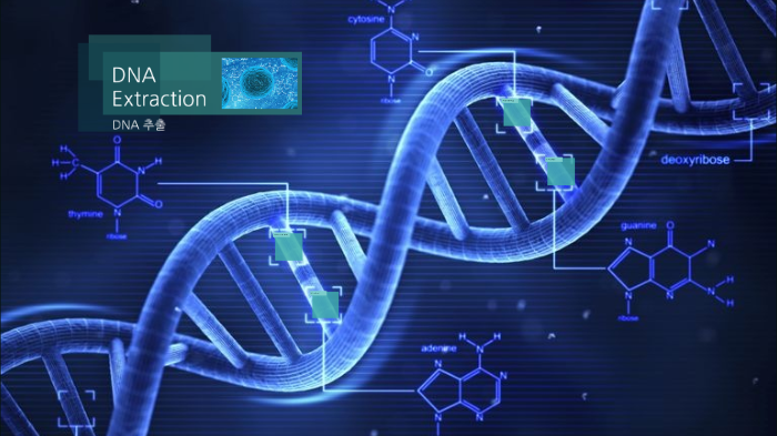 DNA by on Prezi