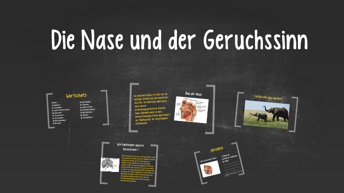Die Nase und der Geruchssinn by wiktoria zalda on Prezi