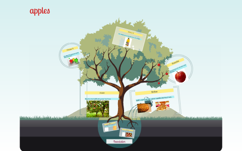 apples by patrick tolhurst on Prezi