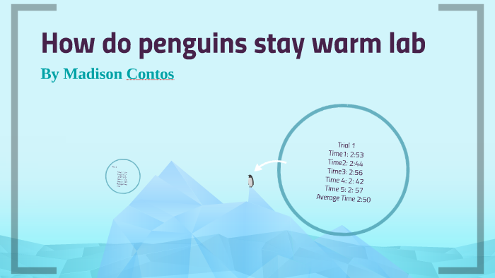 How do penguins stay warm lab by Maddy Contos on Prezi