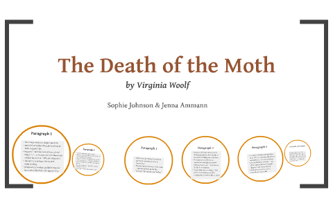 The Death of a Moth by Sophie Johnson on Prezi