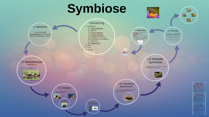 Symbiose by mrs ths on Prezi