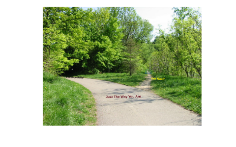 Our Journey by Jennifer De Haro on Prezi