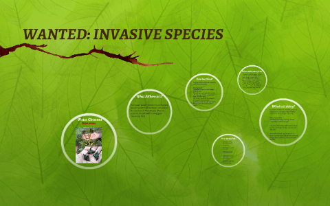 WANTED: INVASIVE SPECIES by Liz Osorio on Prezi