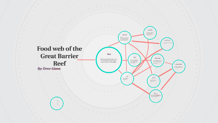 Food web of the Great Barrier Reef by Drew Giron on Prezi