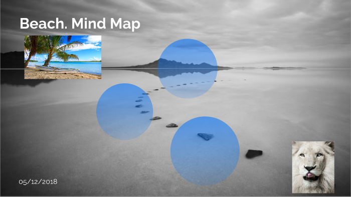 Beach Mind Map by Esteban Flórez on Prezi