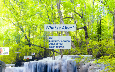 What is Alive? by Ryan Bjerke on Prezi