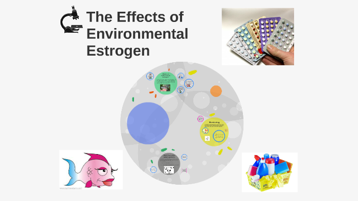 The Effects of Environmental Estrogen by alex trivs on Prezi