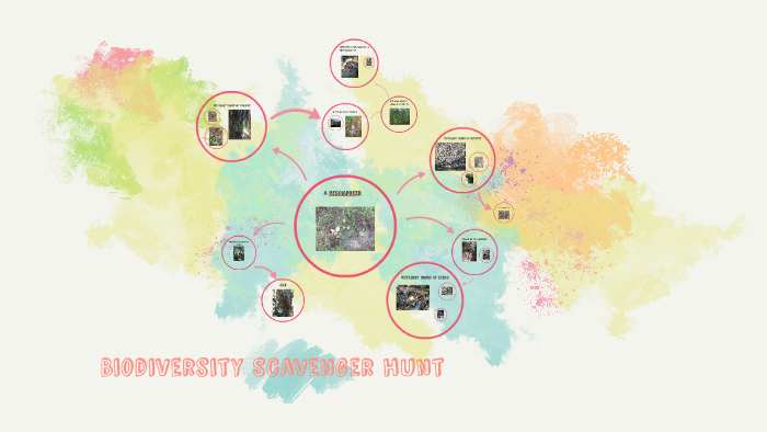 Biodiversity Scavenger hunt by Amanda Ruby on Prezi