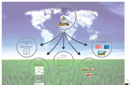 The environmental impact of GMOs by Lynn Espindola on Prezi