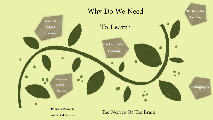 3rd Period Science; Why Do We Need To Learn? by Mark Picinich on Prezi