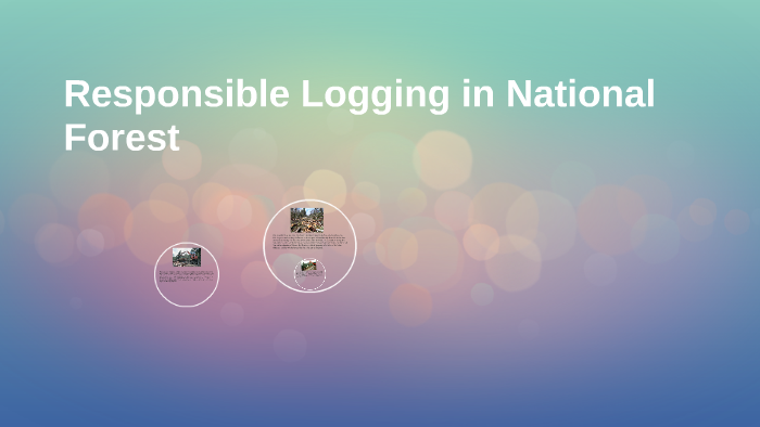 Responsible Logging in National Forest by Robert Howard on Prezi
