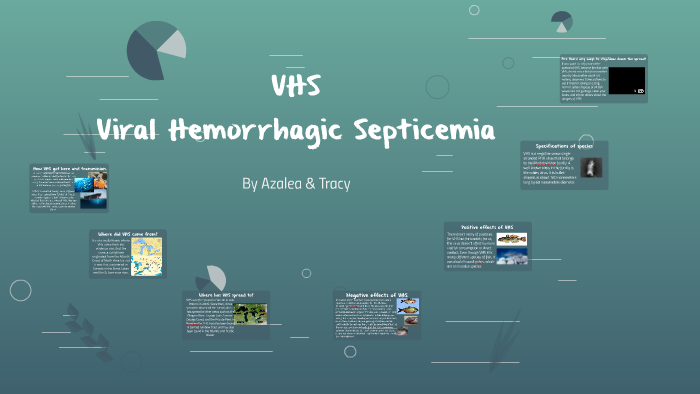 VHS (Viral Hemorrhagic Septicemia) by tracy dAaAAaAaaAAang on Prezi